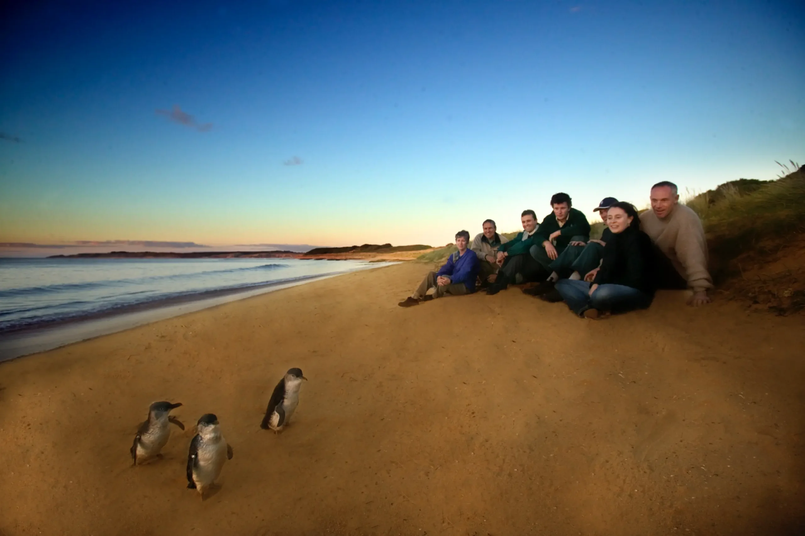 Phillip Island Day Trip