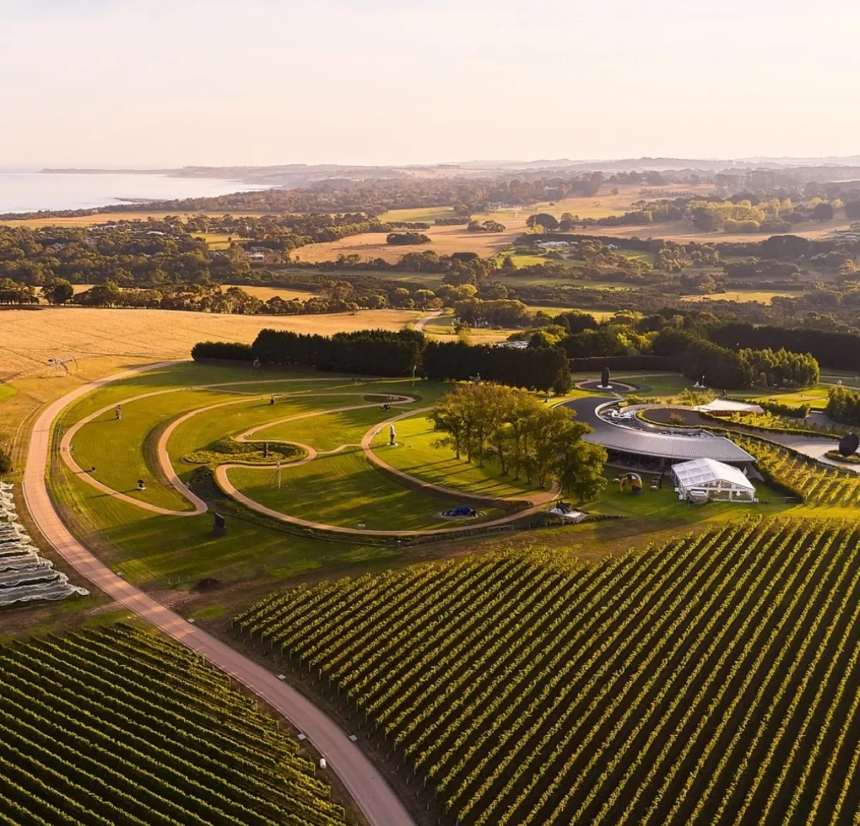 Exploring Melbourne’s Wine Regions